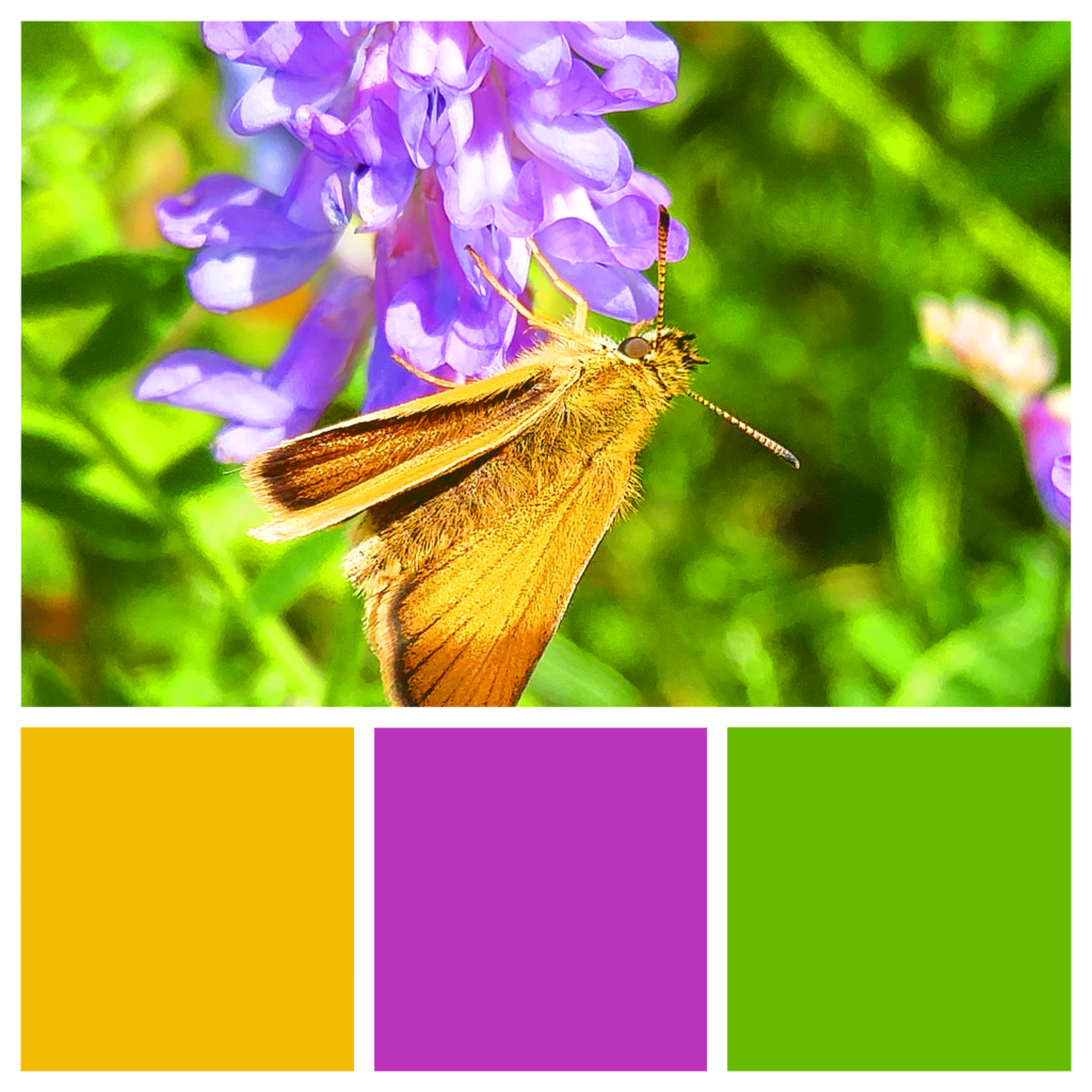 Geomegic • Coloring Tips - Choosing Colors